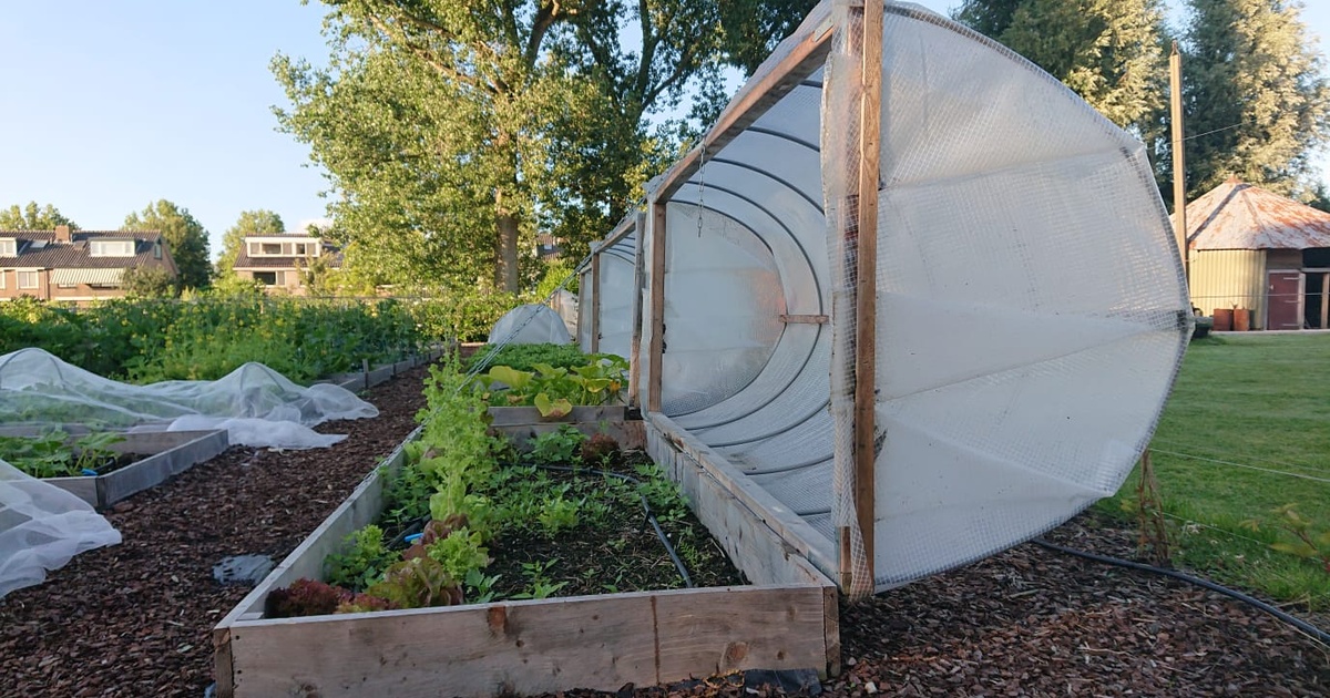 Zelf een kweektunnel maken | Kijkje bij de Buuren
